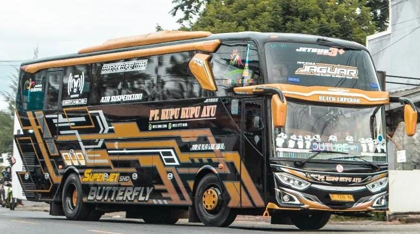 Biaya Sewa Bus Kupu Kupu Ayu | Info Biaya