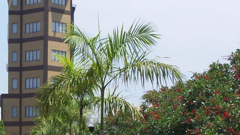 Registrasi UNNAR 2024/2025: Daftar dan Bergabung dengan Universitas ...