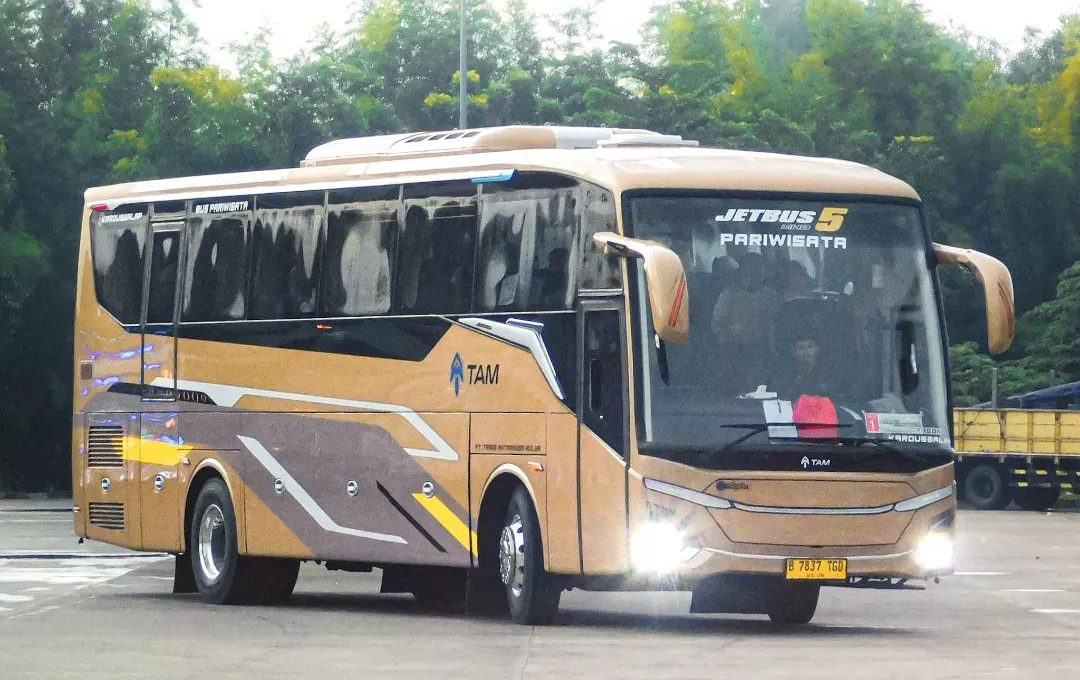 Berapa Biaya Sewa Bus TAM Cargo? Ini Rincian Lengkapnya | Info Biaya