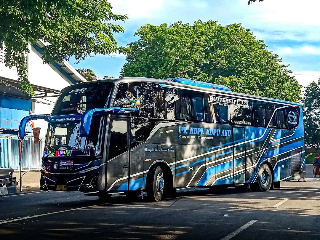 Biaya Sewa Bus Kupu Kupu Ayu | Info Biaya